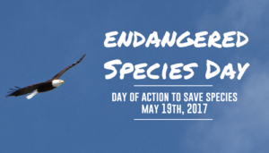 Plan your Endangered Species Day Action or Celebration - Endangered ...