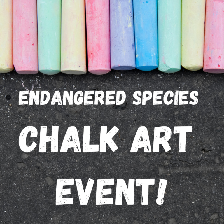 Endangered Species Day is just weeks away. Join the celebration at home ...