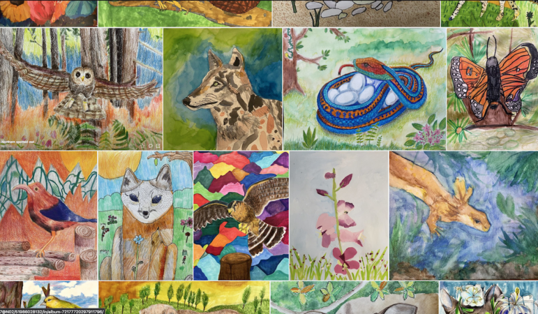 Semifinalist Entries Selected in Endangered Species Youth Art Contest ...