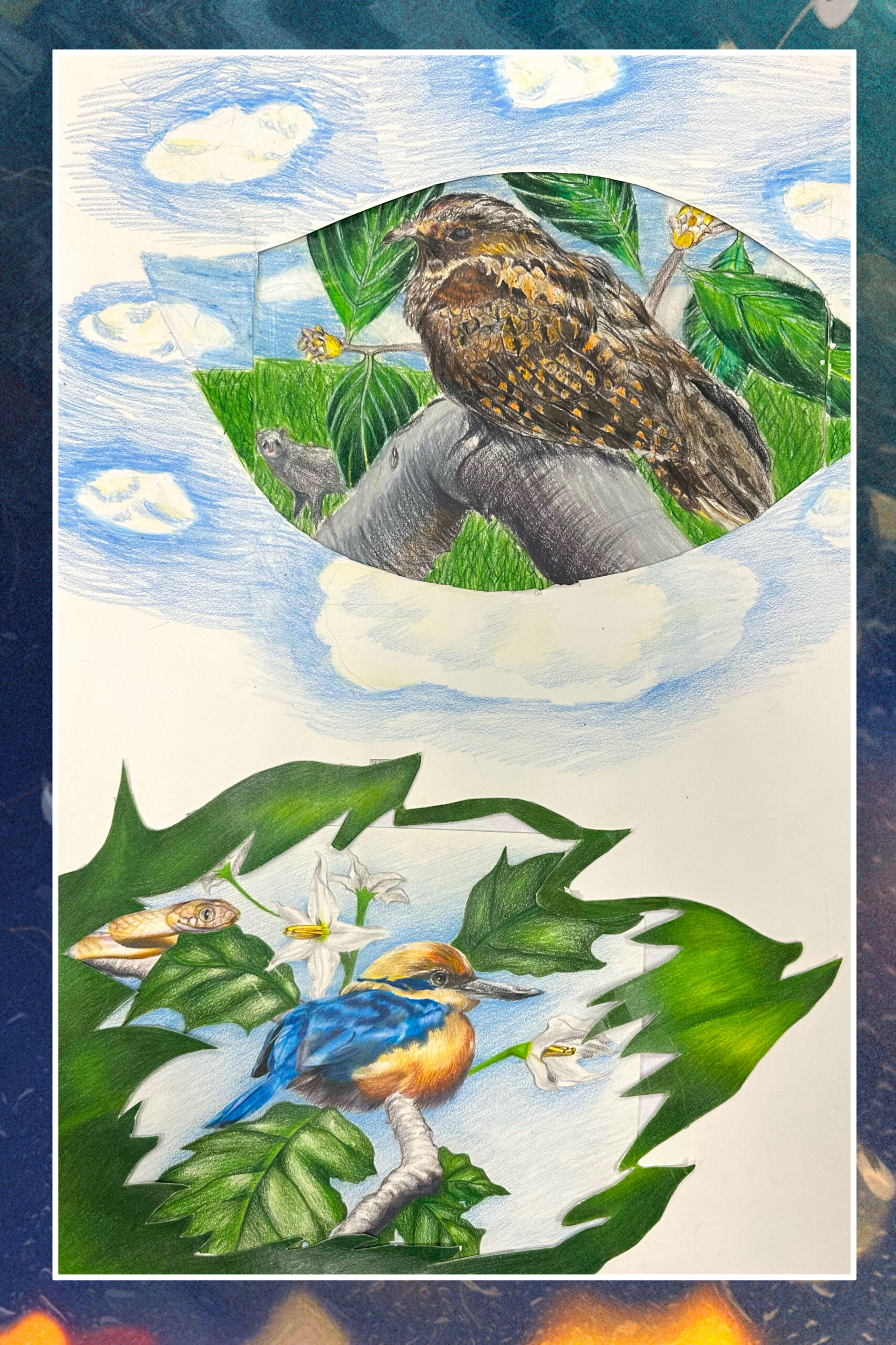 Endangered Species Act at 50: Collaborative Projects - Endangered ...