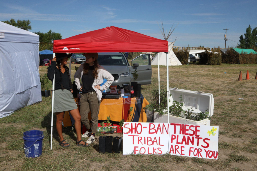 Shoshone-Bannock Tribes and the Fort Hall Native Plant Distribution ...