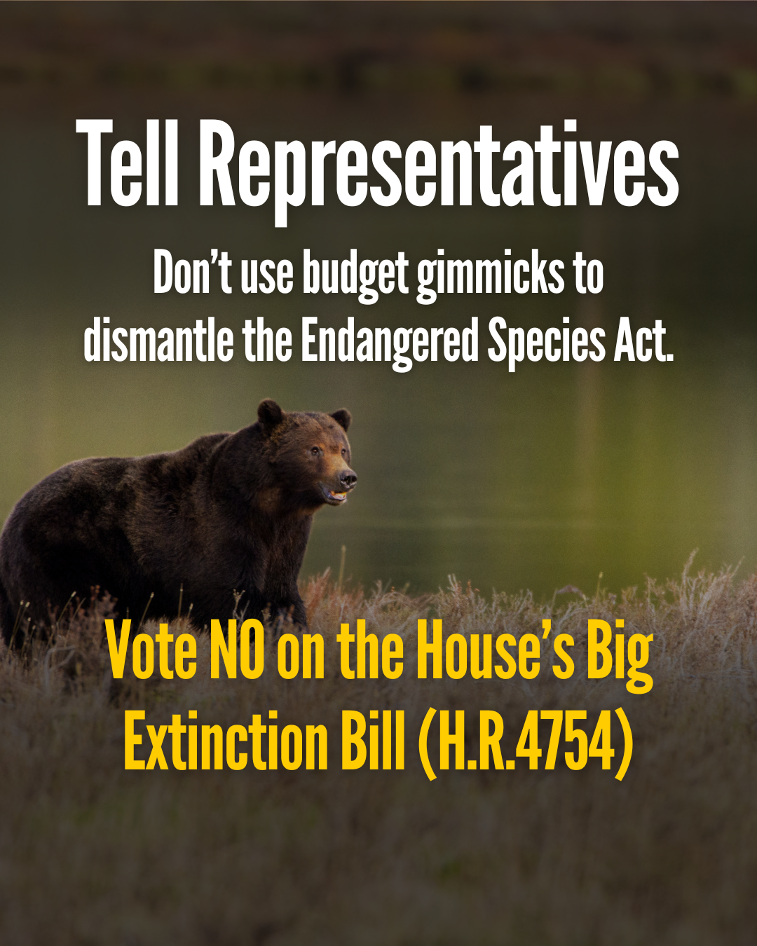House's Big Extinction Bill - Endangered Species Coalition